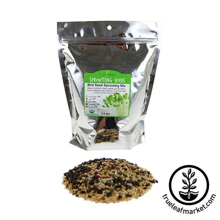 Bird Mix (organic) - Sprouting Seeds – skimsdwd.com